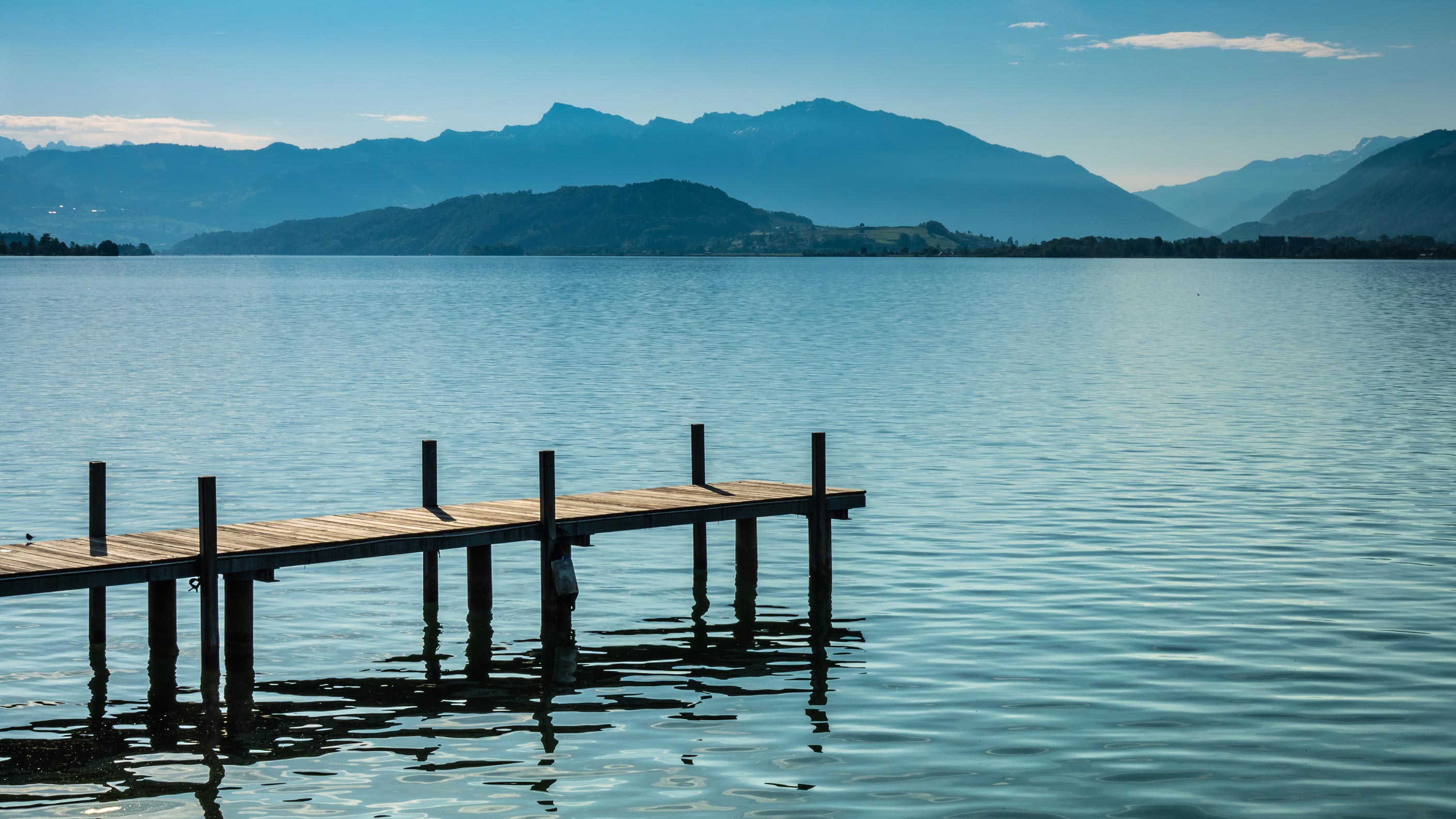 These are the seven best photos of Zurich taken this week